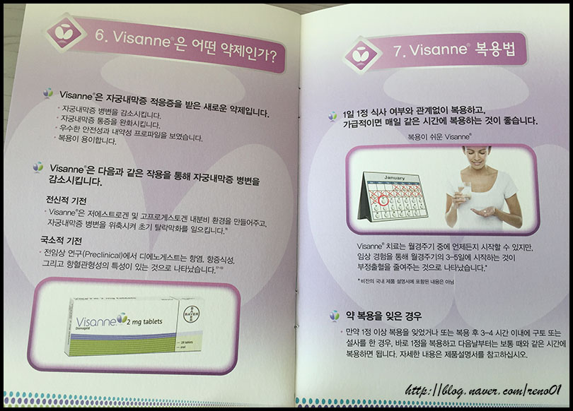 비잔정 복용 6개월째~ 비잔정 부작용 And 복용법 자궁내막증 호르몬치료 네이버 블로그