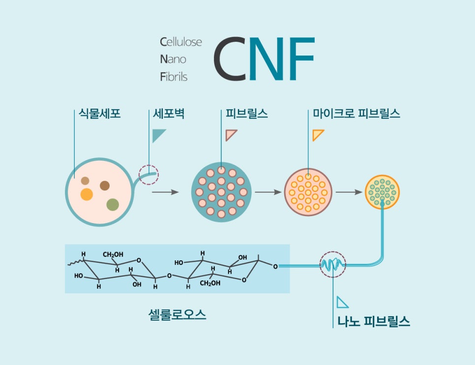 나노 셀룰로오스 네이버 블로그
