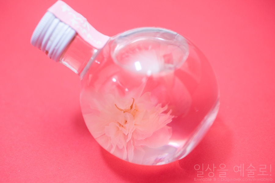 일본 벚꽃술 사쿠라 사라사라 벚꽃사케 네이버 블로그