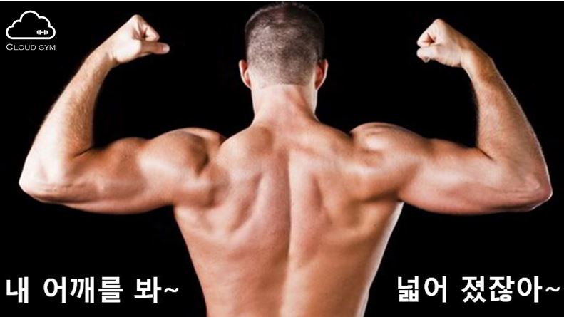 영등포 헬스 클라우드 짐 아직도 어깨에 뽕 넣고 다니니 어깨 근육 전면 측면 후면 삼각근 을 만들어봐~ 네이버 블로그