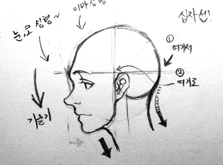 대전미술학원 [ 얼굴그리는법 / 옆모습 얼굴그리기 사람얼굴 그리는 방법 소개 ] 대전 노은 씨앤씨 미술학원 애니스타 만화반 ...